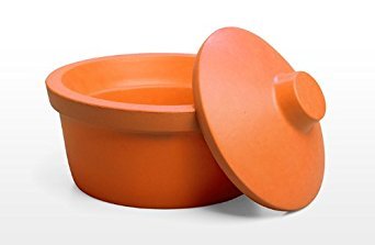 Amazon.com: Biocision BCS-115-25OR TruCool Ice Bucket with Lid, Round ...