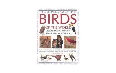 Illustrated Encyclopedia of Birds World: David Alderton: 9781844777990 ...