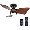 Amazon.com: KINGTORO 24 Inches Black Ceiling Fans with Lights and ...