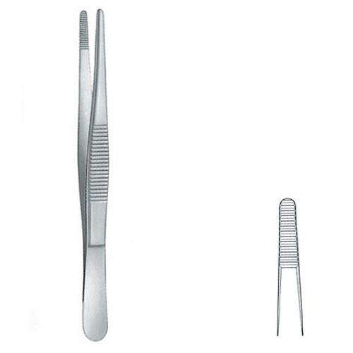 Dissecting Forceps Plain Stainless Steel 410 Grade (10'' Inches ...