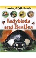 MINIBEASTS LADYBIRDS & BEETLES : Amazon.co.uk: Books