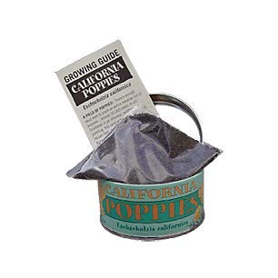 Poppy Kit : Amazon.in: Health & Personal Care