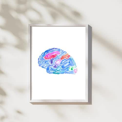 Amazon.com: MEDPAPERS Brain Art Anatomy Posters MD Nurse Neurosurgery ...