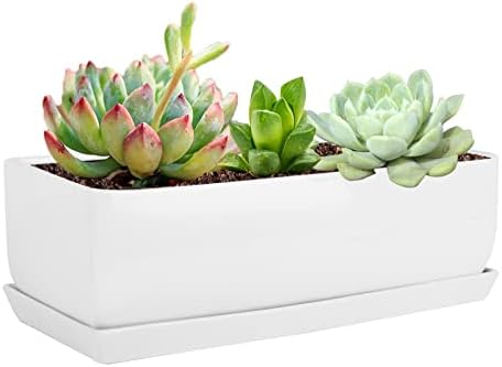 Amazon.com : Brajttt Flower Pots,Rectangular Modern White Ceramic ...