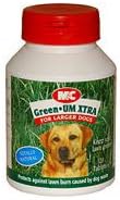 Green-Um XTRA for Larger Dogs 400 tablets : Amazon.co.uk: Pet Supplies