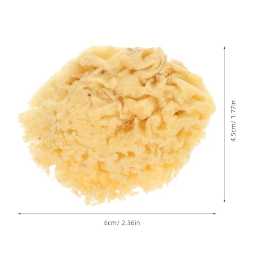 OSOLADY Natural Sea Sponge for Painting and Face Painting 2.0-2.5 Inch ...