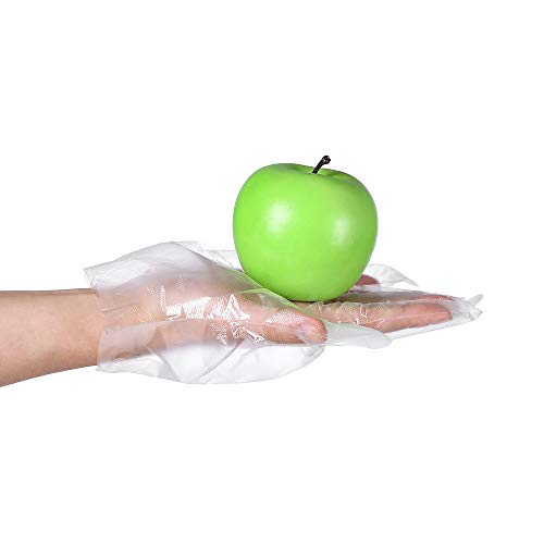 MoloTAR 500 Pieces Plastic Disposable Gloves,Disposable Gloves for ...