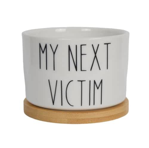 Amazon.com: My Next Victim Succulent Pot, Funny Mini 3 inch Pot With ...