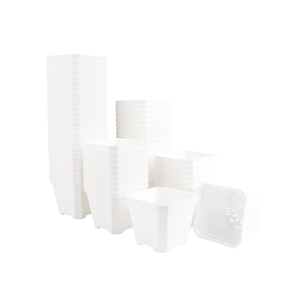 BangQiao 60 Pack Small 3.90 Inch White Plastic Square Nursery and ...