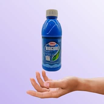 T Stanes Biocure B Pseudomonas, 1 Ltr Pack : Amazon.in: Garden & Outdoors