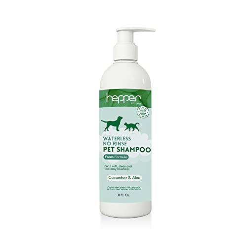 Waterless Cat Shampoo – The 15 best products compared - Wild Explained