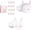 Amazon.com: Cheerland Easter Bag Bunny Gift Bag Bunnies Birthday ...