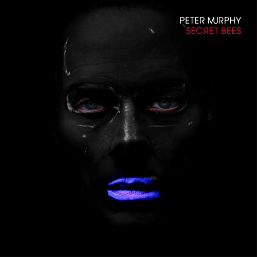 Amazon.com: The Secret Bees of Ninth : Peter Murphy: Digital Music