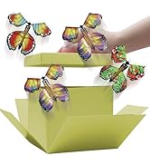 Amazon.com: WUEURU Flying Butterfly Surprise Box Exploding Gifts Box ...