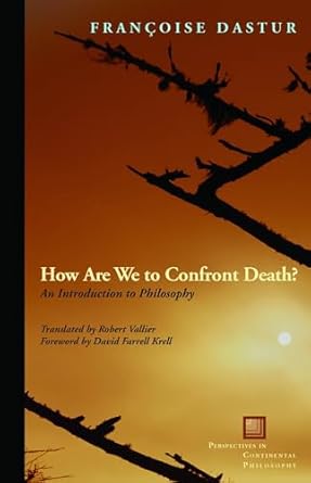How Are We to Confront Death?: An Introduction to Philosophy ...
