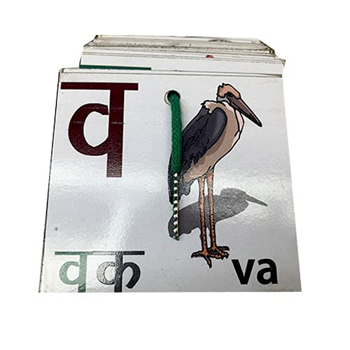Buy WISSEN Wooden Educatonal Hindi Flash Cards for Kids | Easy & Fun ...