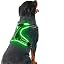 Light Up Dog Harness No Pull LED Harness, Escape Proof Padded Lighted ...