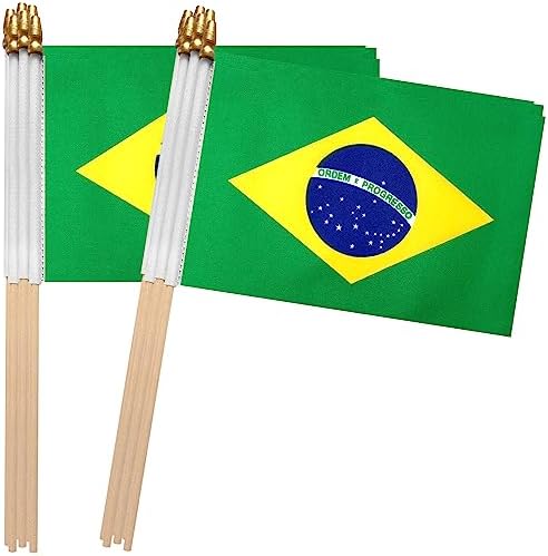 Amazon.com : Kind Girl 25 Pack Hand Held Small Mini Flag Brazil Flag ...