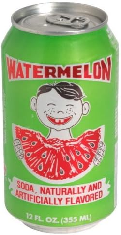 Amazon.com : Jupina Pineapple Soda, 12oz Jar (Pack of 18, Total of 218 ...