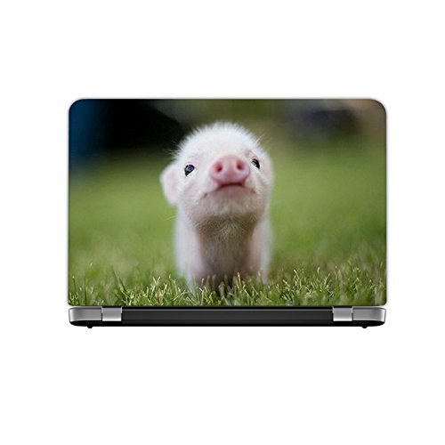 Elamax India Cute Pig Baby Laptop skin for 15.6 inches Laptop ...