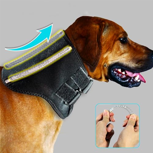 Dog Neck Brace – The 15 best products compared - Wild Explained