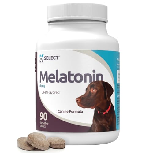 10 Best Melatonin For Dogs