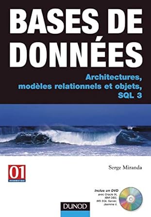 Bases De Donnees. Architecture, Modeles Relationnels Et Objets, Sql 3 ...