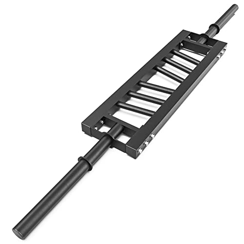 12 Different Types of Barbells + How to Choose | 2022 Buyer Guide