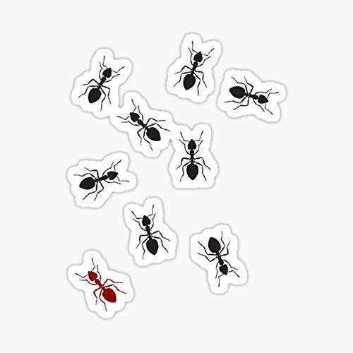 Snapklik.com : Ants Sticker - Sticker Decal For Cars Windows Walls ...