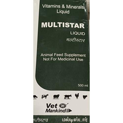 Multistar Multivitamin Liquid (500 ml), 1 Piece : Amazon.in: Health ...