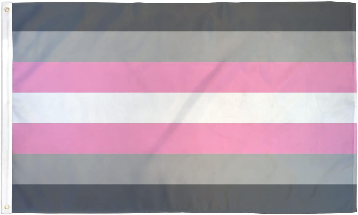 Amazon.com : Demigirl Flag 3x5ft Polyester - Banner Rainbow Pride ...
