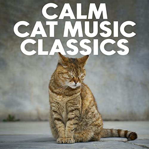 Play Calm Cat Music Classics by Calm Cat Music Classics on Amazon Music ...