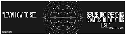 Amazon.com: EvolveFISH Learn How to See Everything Connects to ...