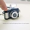 Amazon.com: Camera Miniature Replica Magnet, Camera Ornament with Flash ...
