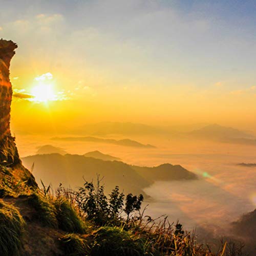 Life in Nature song by Yoga Tribe, Spa Music Paradise & White Noise ...