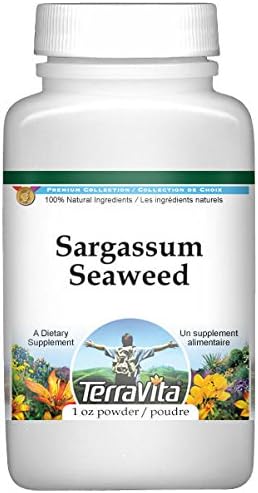 Amazon.com: Sargassum Seaweed Powder (1 oz, ZIN: 521351) : Grocery ...