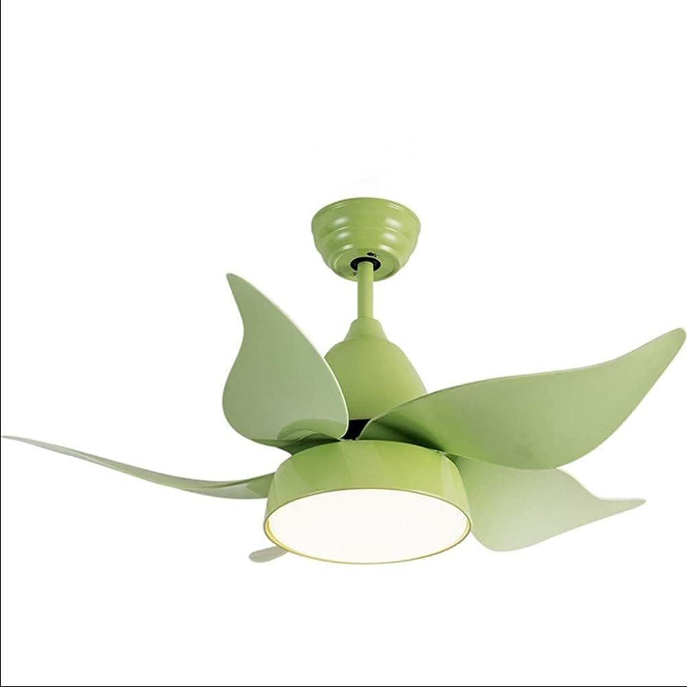 AUNEVN Ceiling Lamp Ceiling Fans with Lamp 5 Leaf Ceiling Fan Light ...