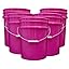 Amazon.com: House Naturals Food Grade 5 Gallon Pink Bucket Container ...
