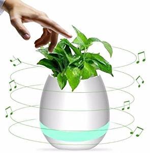 Flower Pot With Bluetooth And Speaker, Leaves Touch Music, Real Plant ...