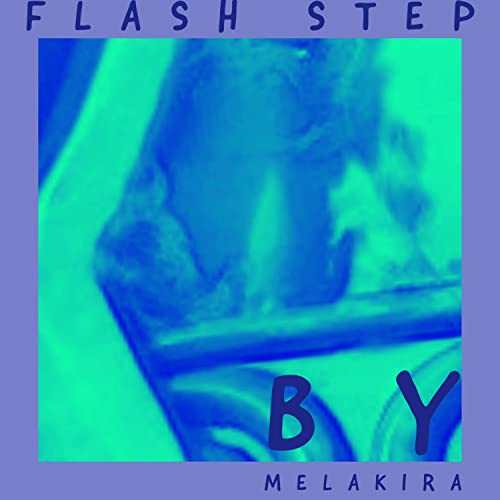 Step by Step Flash – Die 15 besten Produkte im Vergleich - tsaschloss.de