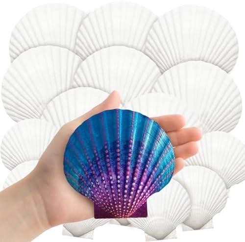 Amazon.com: Wanwanzi 10Pcs Sea Shells White Scallop Shells - 4-5 inch ...