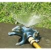 Amazon.com : TAIWAN Brass Decorative Frog Sprinkler - with a Little ...