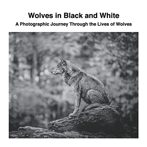 tailieutuhoc.com, Digital Library, PDF, EPUB | Wolves in Black and ...