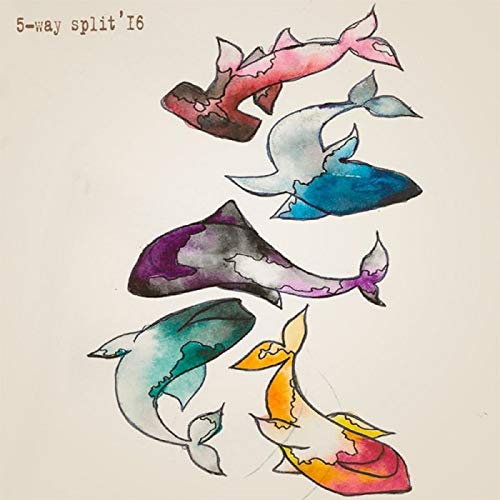 Play 5-way split'16 by VARIOUS ARTISTS on Amazon Music