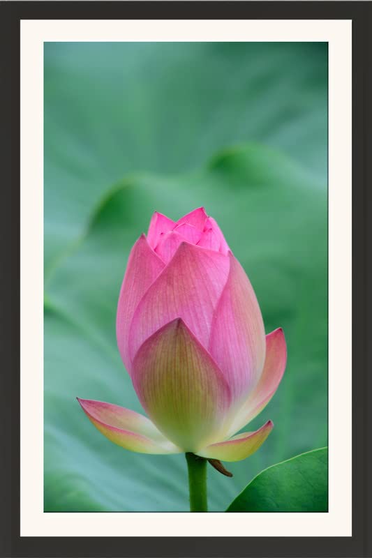 Wall Frame Lotus Flower Wall Hanging 1.5 Inches Frame | Velvet Thermal ...