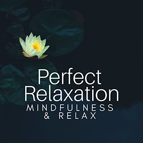 Amazon MusicでPositive Thinking LamaのPerfect Relaxation - Mindfulness ...