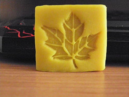 Curtis Merchandise Maple Leaf Rubber Stamp - Square, Green : Amazon.ca ...