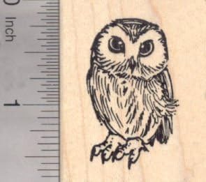 Amazon.com: Small Owl Rubber Stamp - Wood Mounted : Toys & Games