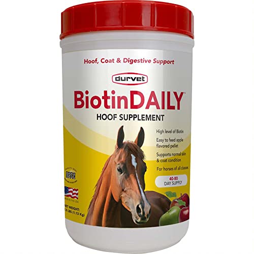 How To Buy Best Biotin 100 For Horses 2024, Reviewed By Experts - Glory ...