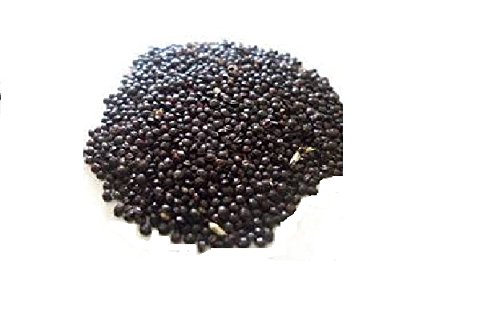 Kgene Seeds Hybrid Bindi Or Lady Finger Vegatable Seeds - 100Gm ...